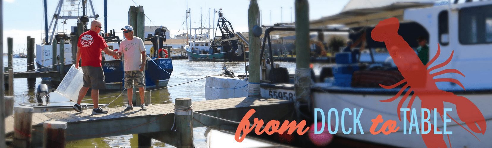 Harrison’s Harbor Watch – OceanCity.Guide
