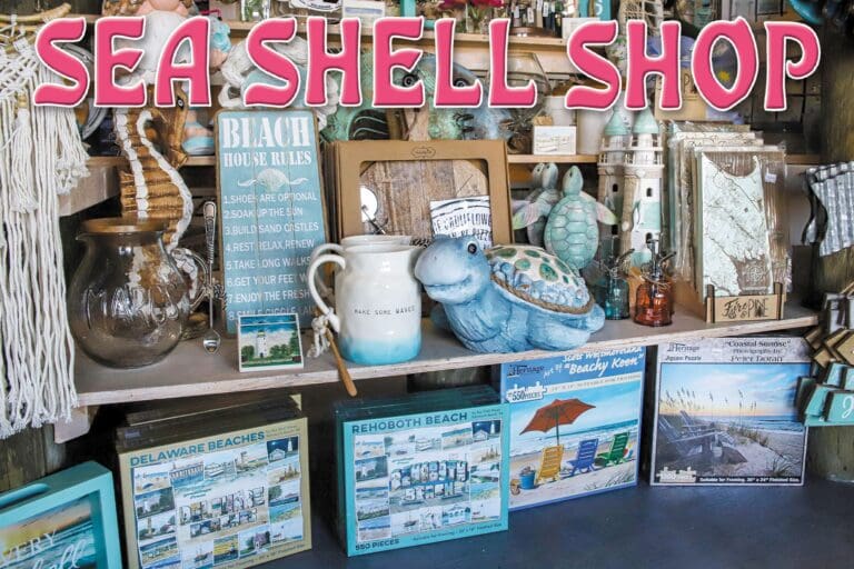 Sea Shell Shop - OceanCity.Guide