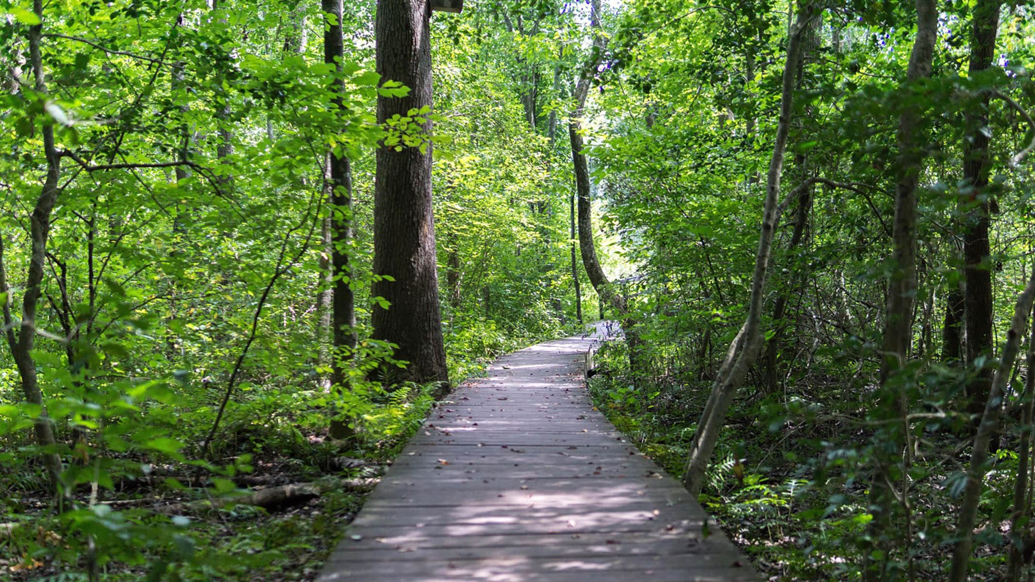 Pickles Pub - OceanCity.Guide